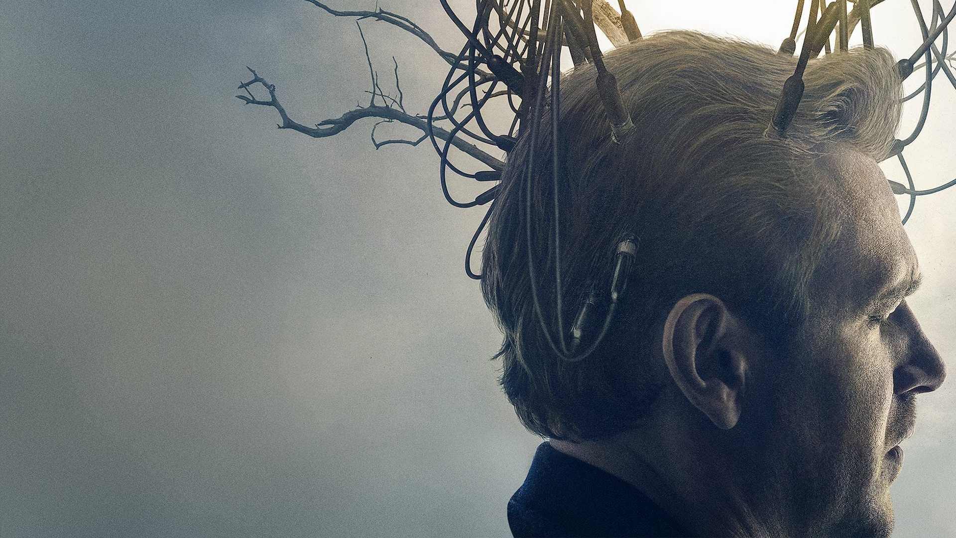 Открытие - смотреть на SPlay